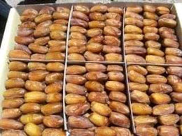 2 LBs. Deglet Noor Dates from Algeria 100% Natural, Nutritional Proper ...